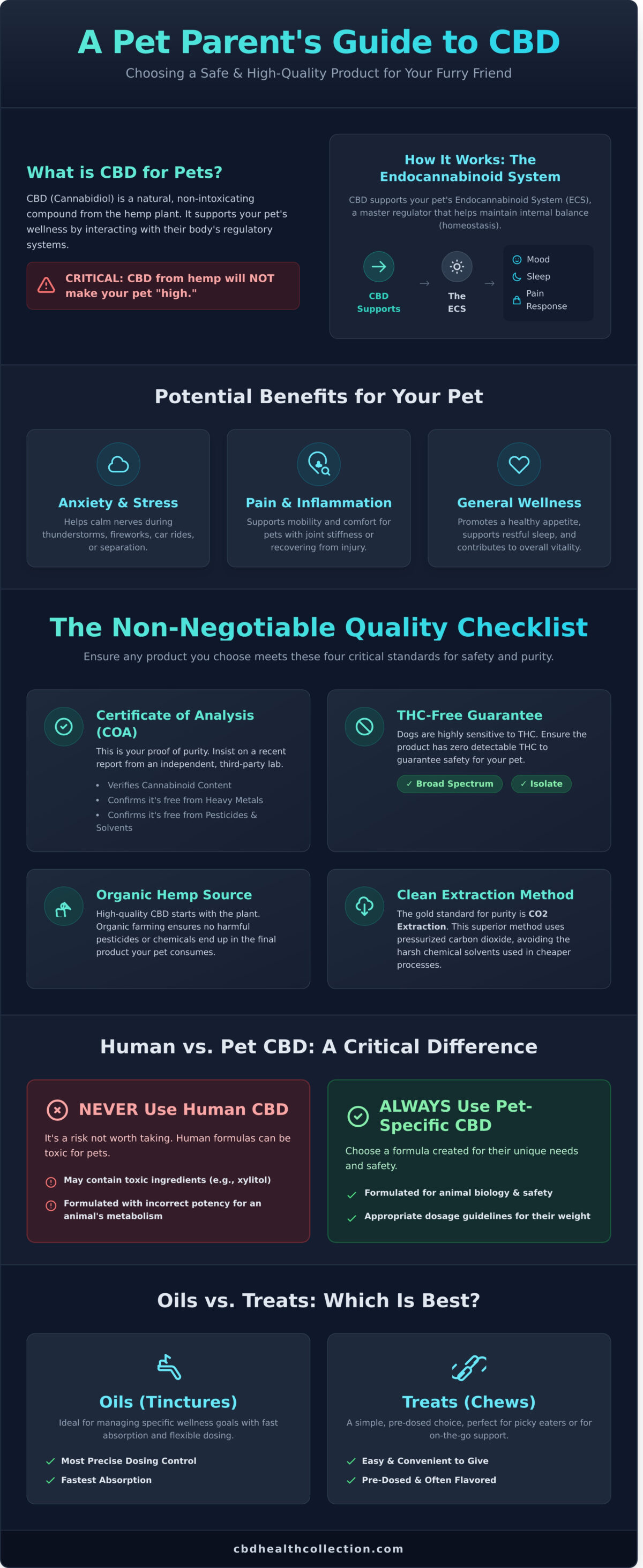 CBD for Pets: A Complete Guide to Supporting Your Animal's Wellness ...